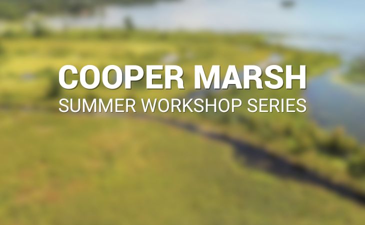 Raisin Region Conservation Authority (RRCA)