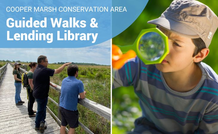 Raisin Region Conservation Authority (RRCA)