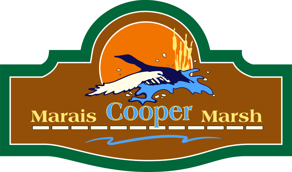 Cooper Marsh Conservation Area : Camping and Recreation : Raisin Region ...